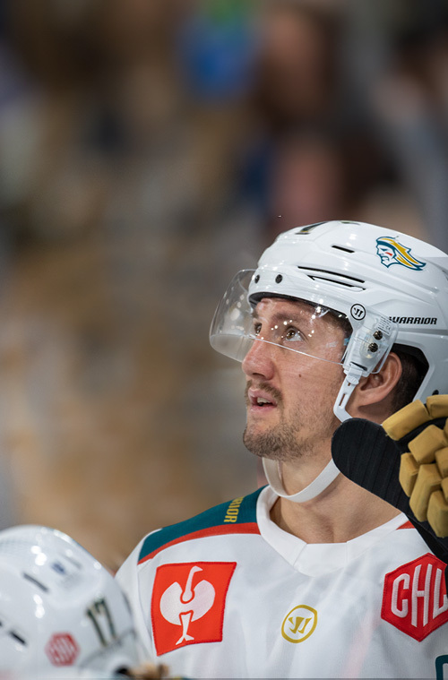 Belfast Giants Official Website