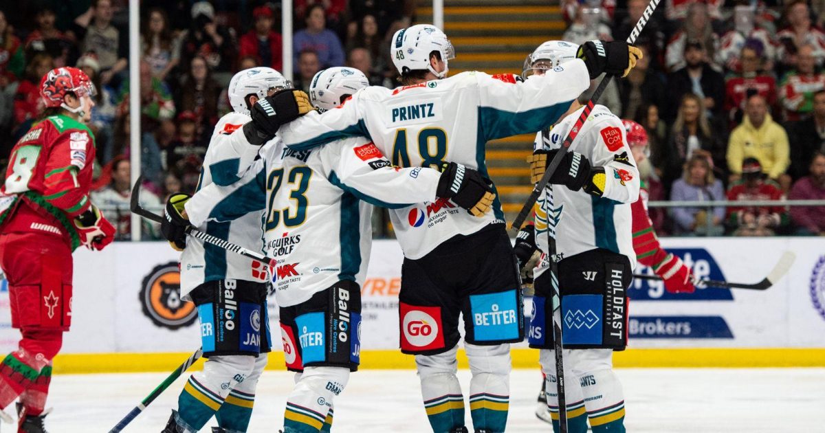Latest Belfast Giants News | Belfast Giants
