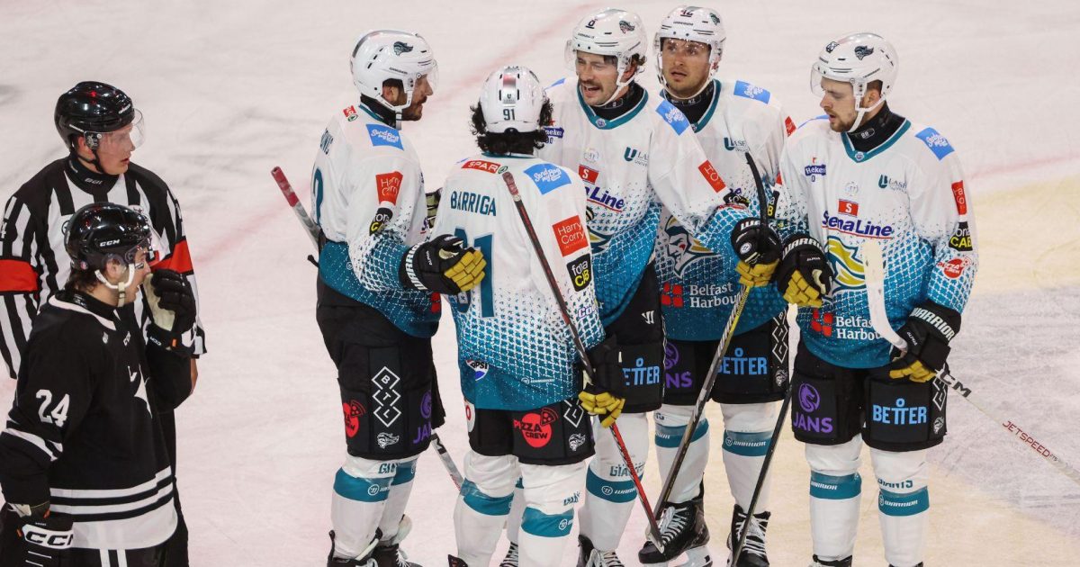Morin Flies High As Giants Put Eight Past Ravens | Belfast Giants