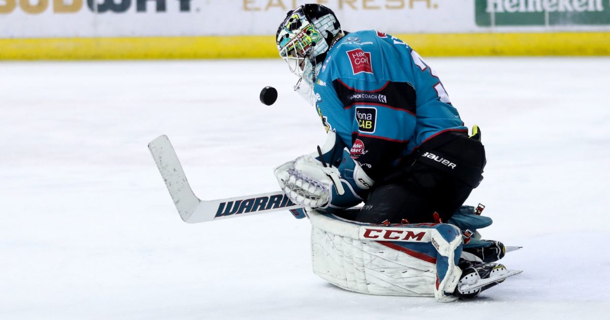 Andrew Dickson | Player Profile | Belfast Giants