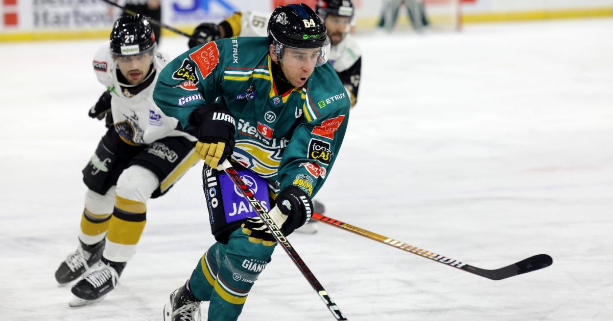 Belfast Giants Confirm Re-Signing of David Goodwin | Belfast Giants