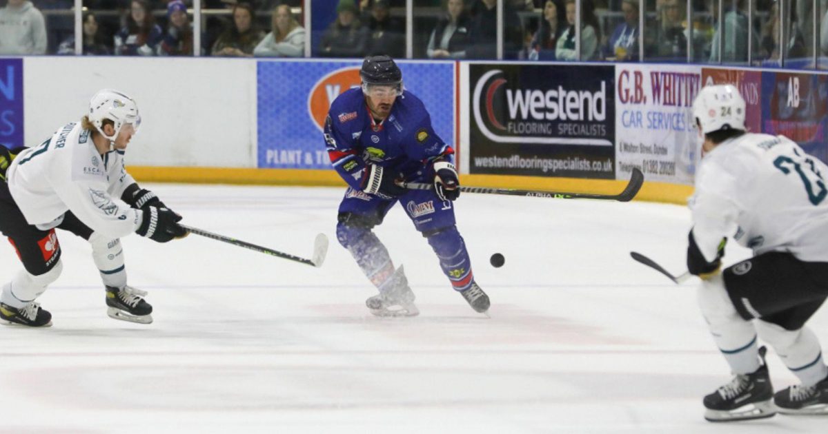 Latest Belfast Giants News | Belfast Giants