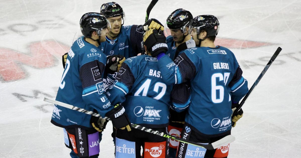 Latest Belfast Giants News | Belfast Giants