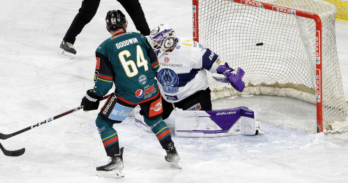 Latest Belfast Giants News | Belfast Giants