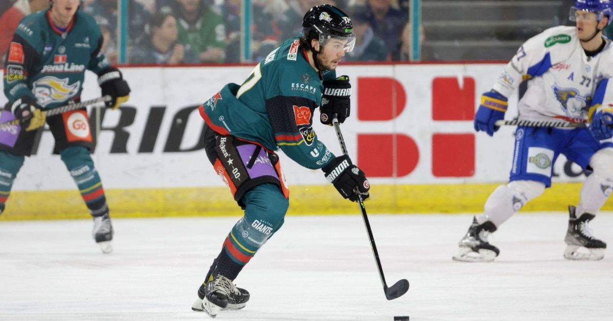 Latest Belfast Giants News | Belfast Giants